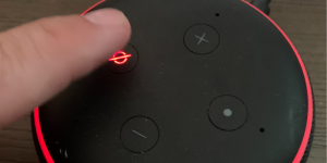 Why is My Echo Dot Red? How to Fix It [Steady or Blinking ...