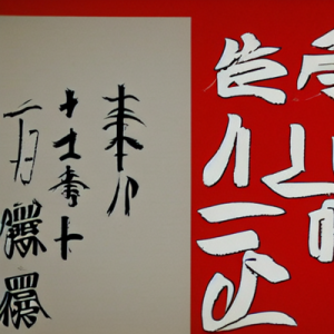 Does Alexa Speak Japanese? [2026 Amazon Echo Update] - oneSmartcrib.com